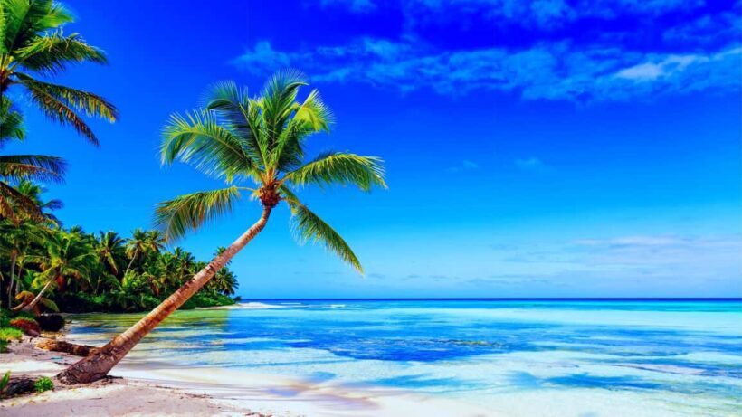 Punta Cana: Saona Island Day Trip with Open Bar and Lunch - Getting There: From Punta Cana to La Romana and Beyond