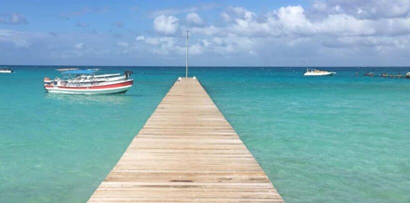 Punta Cana: Saona Island Day Trip with VIP Option - The Whole Experience: From Early Morning to Sunset