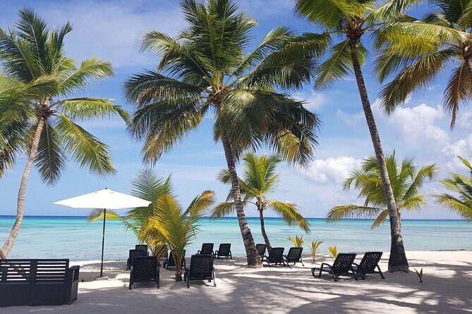 Punta Cana: Saona Island Food And Drink Catamaran Hotel Pickup - Analyzing the Value