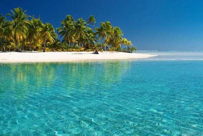 Punta Cana: Saona Island Food And Drink Catamaran Hotel Pickup - The Sum Up