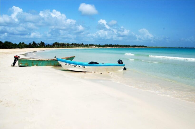 Punta Cana: Saona Island Full-Day Open Bar, Lunch & Transfer - Who Will Love This Tour?