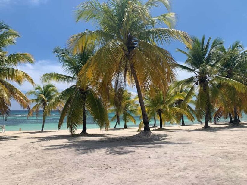 Punta Cana: Saona Island Premium 3 beaches - An In-Depth Look at the Tour Experience