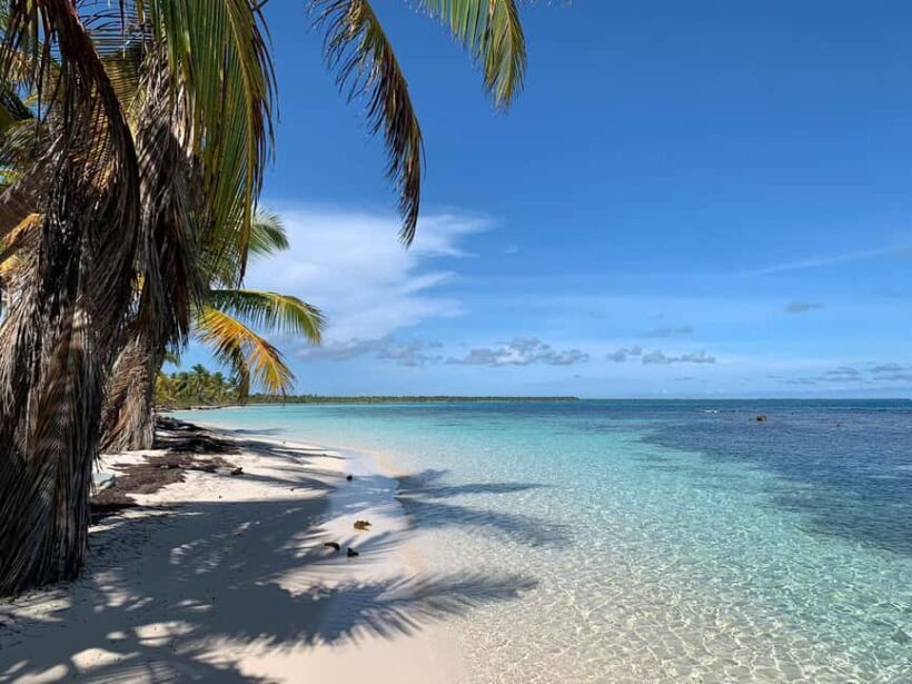 Punta Cana: Saona Island Premium 3 beaches - What the Reviews Say