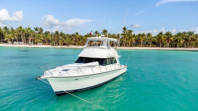 Punta Cana: Saona Island Private Yacht Tour with Snorkeling - Key Points