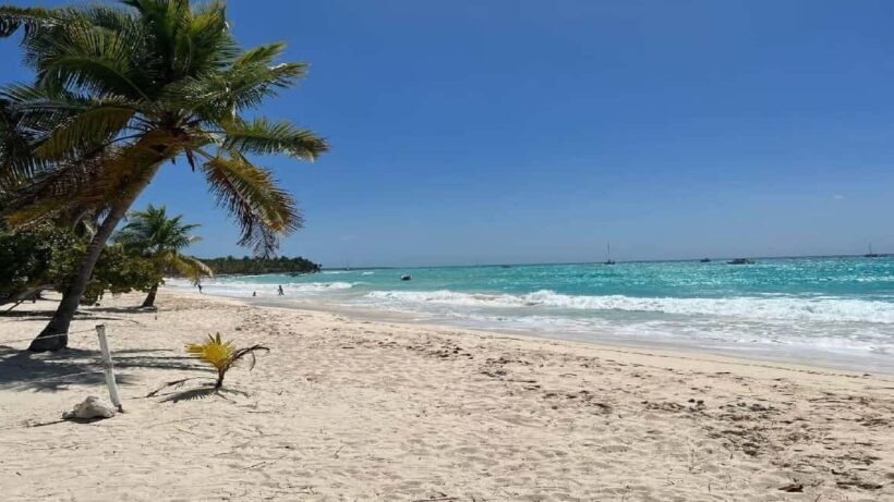 Punta Cana: Saona Island Speedboat Tour with Lunch - What Past Travelers Say