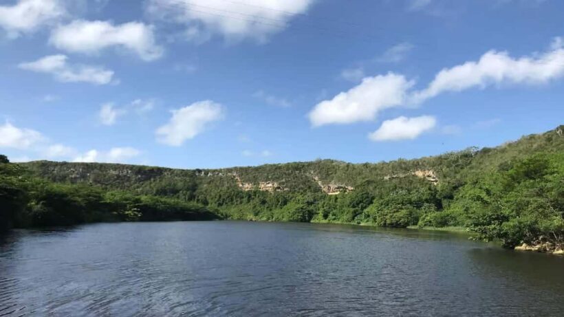 Punta Cana: Saona Island Speedboat Tour with Lunch - Practical Details and Tips