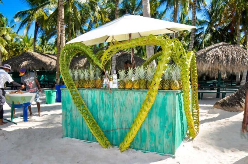 Punta Cana: Saona Island Tour with Transportation - Who is This Tour Best For?