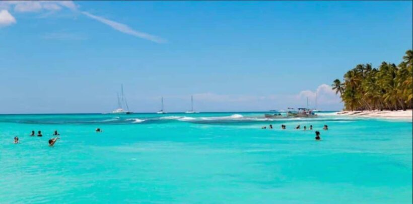 Punta Cana: Saona Island VIP Catamaran Tour with Lunch - Key Points