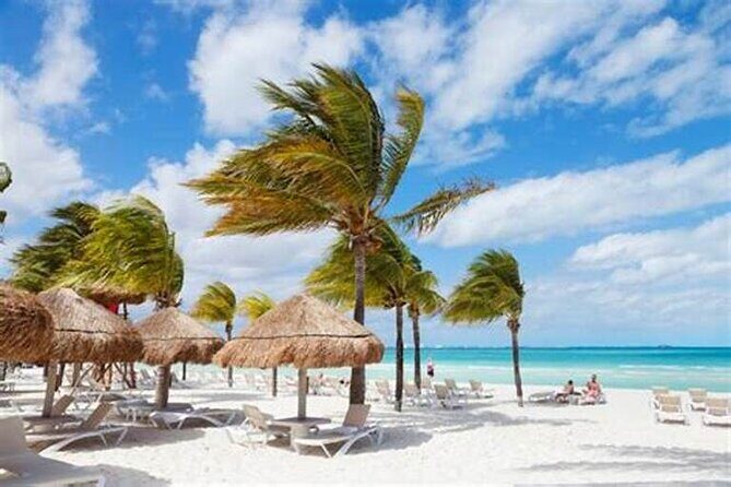 Punta Cana: Saône Island in Catamaran, Small Groups, With Food - The Itinerary: What to Expect