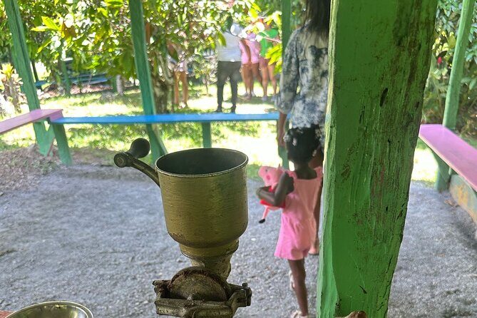 Punta cana scenic tour with lunch horses and cenote - What to Expect on the Tour