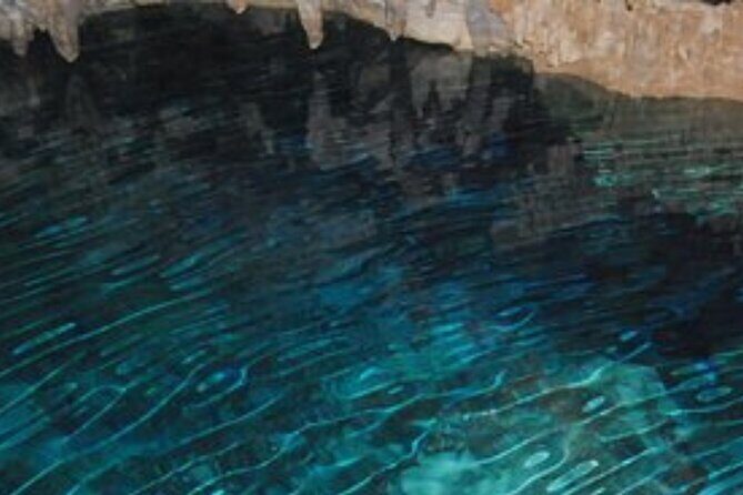 Punta cana scenic tour with lunch horses and cenote - Who This Tour Is Best For