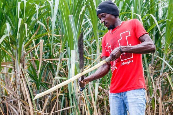 Punta cana scenic tour with lunch horses and cenote - FAQ Section