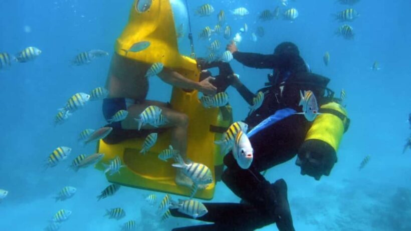 Punta Cana: Scoba Doo Discover the Underwater Wonders - The Sum Up