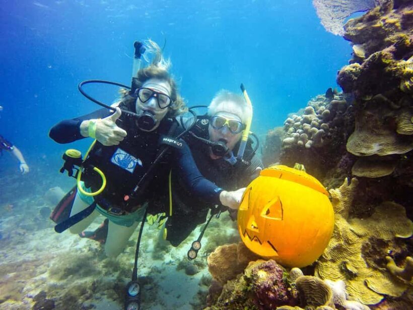 Punta Cana: Scuba Diving Adventure to Catalina Island - An In-Depth Look at the Experience