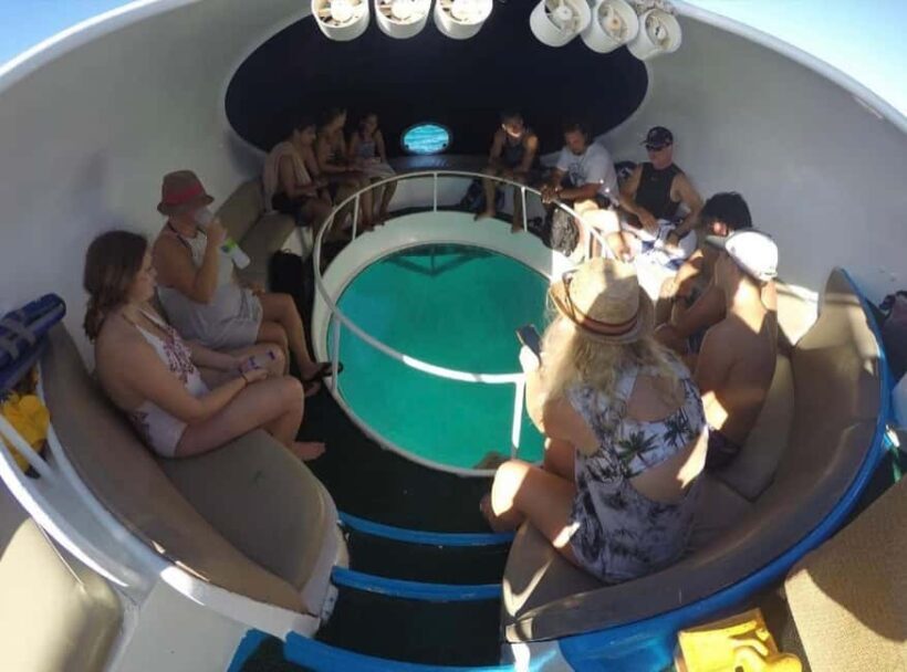 Punta Cana Scuba Doo: Discover Marine Life In a Fun Way - The Sum Up