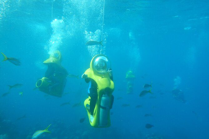 Punta Cana Scubadoo Adventure - The Sum Up: A Great Choice for Marine Enthusiasts and Families