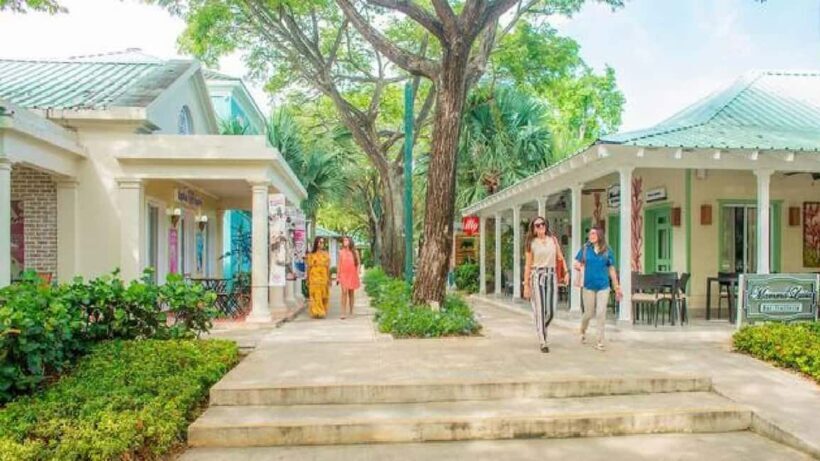 Punta Cana: Shopping Tour with Tastings and Pickup - Who Will Love This Tour?