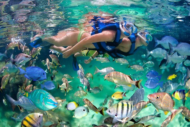 Punta Cana Snorkeling Party Cruise - FAQ