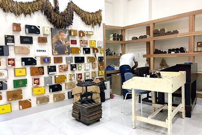 Punta Cana Souvenir Shopping Tour with Free Pickup - Who Should Consider This Tour?