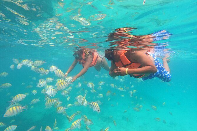 Punta Cana: Speed Boat Ride & Snorkel Adventure - How This Tour Fits Into Your Punta Cana Trip