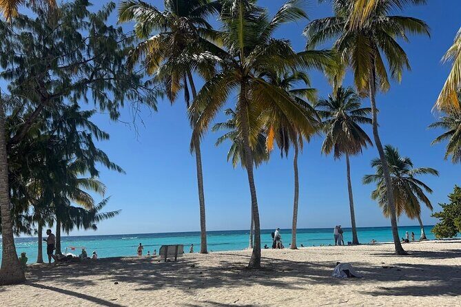 Punta Cana Speed Boat to Saona Island with Lunch & Natural Pools - FAQ