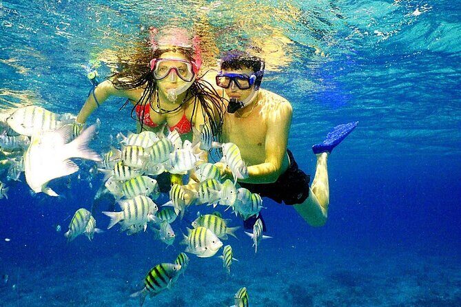 Punta Cana Speed Boat Tour and Snorkeling - An Overview of the Experience