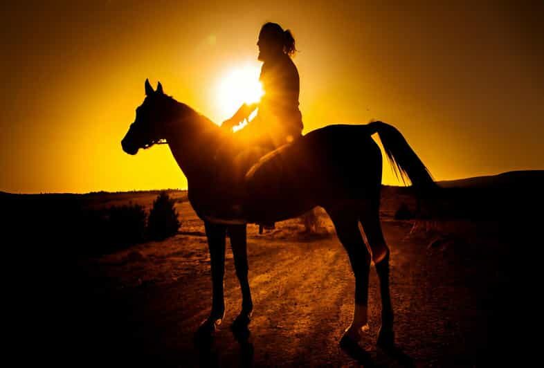 Punta Cana: Sunset Horseback Ride in Macao Beach and Forest - The Extended Experience: Shopping and Return
