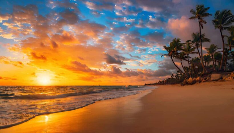 Punta Cana: Sunset Horseback Ride in Macao Beach and Forest - Pricing and Value