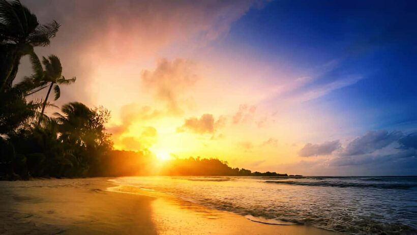 Punta Cana: Sunset Horseback Ride in Macao Beach and Forest - FAQ