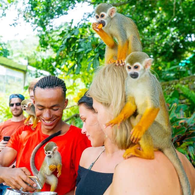 Punta Cana: Tour Aventura con Monos con Recogida en el Hotel - FAQ
