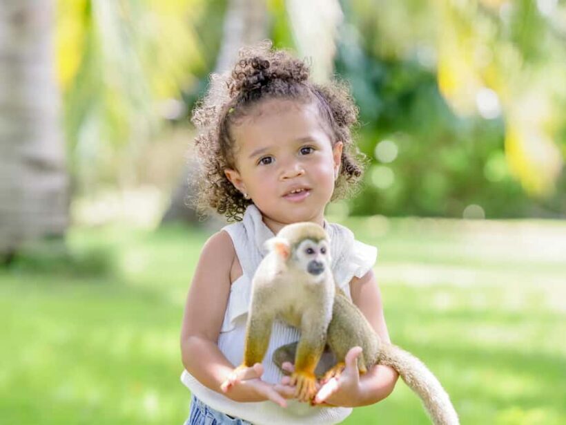 Punta Cana: Tour Monkey Adventure With Hotel Pick Up - Key Points