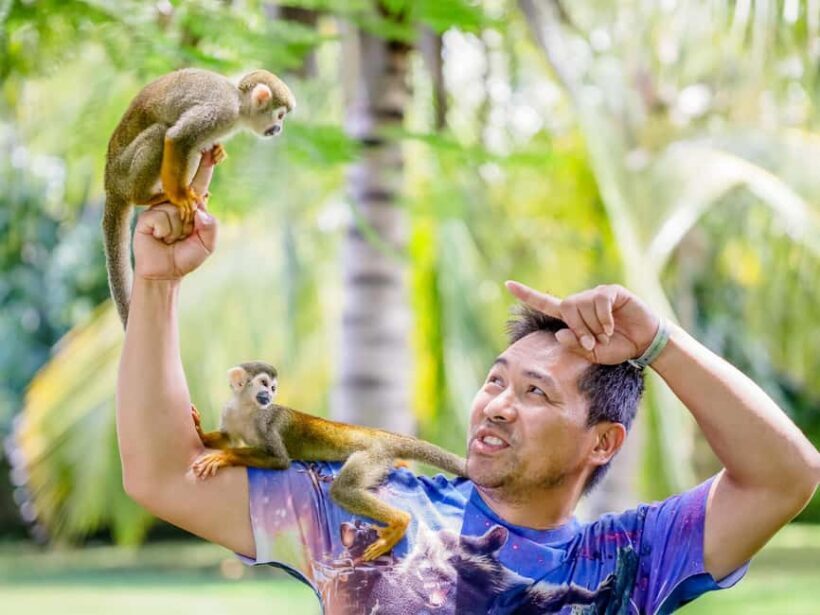 Punta Cana: Tour Monkey Adventure With Hotel Pick Up - What to Expect from the Monkey Adventure Tour