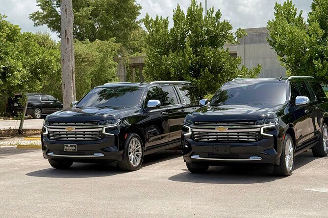 Punta Cana Transfer / Round-Trip To Hotel - Authentic Traveler Feedback