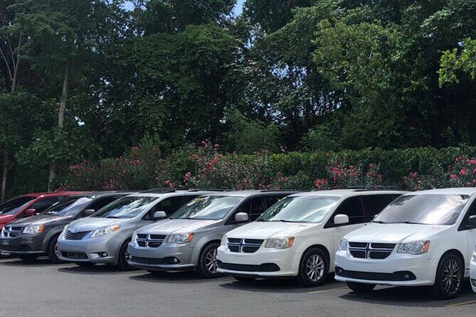 Punta Cana: Transportation from Punta Cana airport or hotel - The Experience in Detail