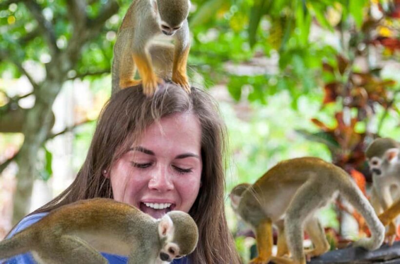 Punta Cana: Triple Jungle Adventure Park Tour with Tastings - Summary of the Experience