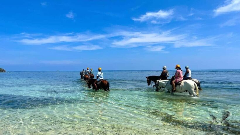 Punta Cana: Uvero Alto Beach Horseback Riding Tour - FAQ