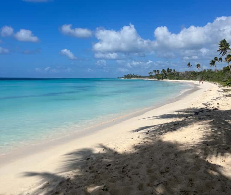 Punta Cana: VIP Private Speedboat Escape to Saona Island - Key Points