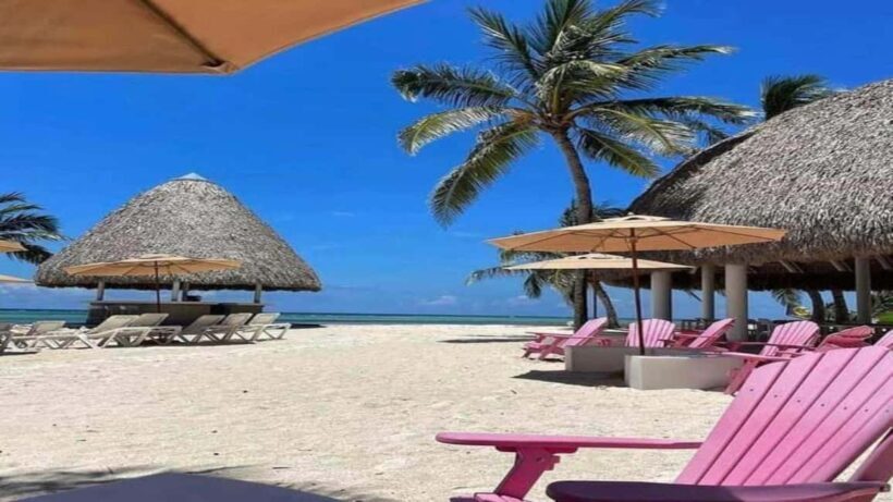 Punta Cana: Water Bike Tour with Snorkeling and Lunch - What the Reviews Say