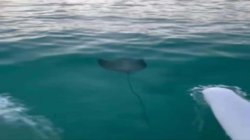 Punta Cana: Water Bike Tour with Snorkeling and Lunch - Practical Details and Tips