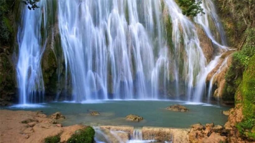 Punta Cana: Whale Watching, Cayo Levantado & Waterfall - The Itinerary: A Day Packed with Natural Wonders