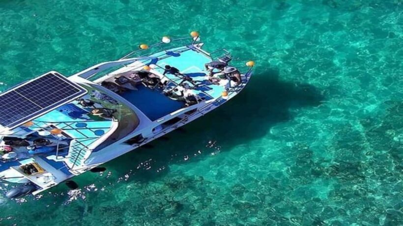 Punta Cana: Whale Watching, Cayo Levantado & Waterfall - What the Experience Means for You