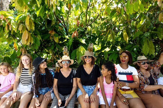 Punta Cana Zipline Jungle Adventure - The Sum Up