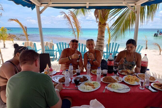 Punta Cana:Exclusive Private Tours for Groups of Up to 7 People - Transportation and Logistics