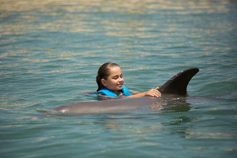 Punta Cancun: Swim with dolphins Interax - Key Points