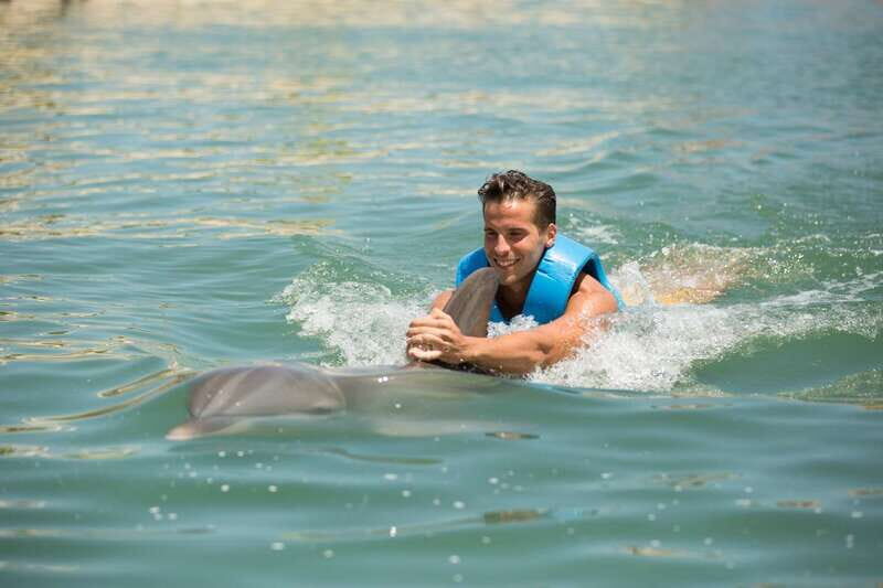 Punta Cancun: Swim with dolphins Interax - Authentic Experiences and Honest Feedback from Visitors