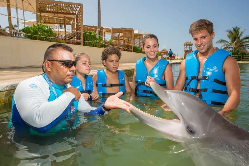 Punta Cancun: Swim with dolphins Primax - What Travelers Say
