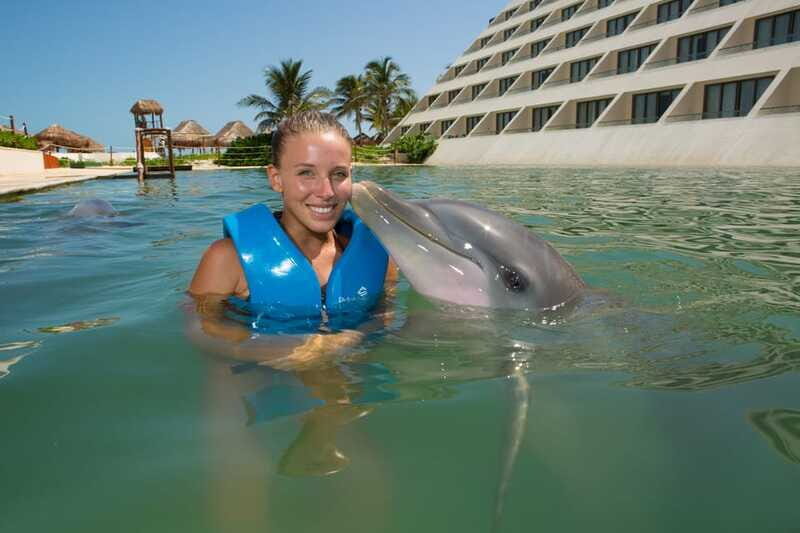 Punta Cancun: Swim with dolphins Primax - Analyzing the Value