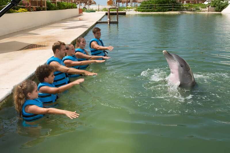 Punta Cancun: Swim with dolphins Primax - Final Thoughts