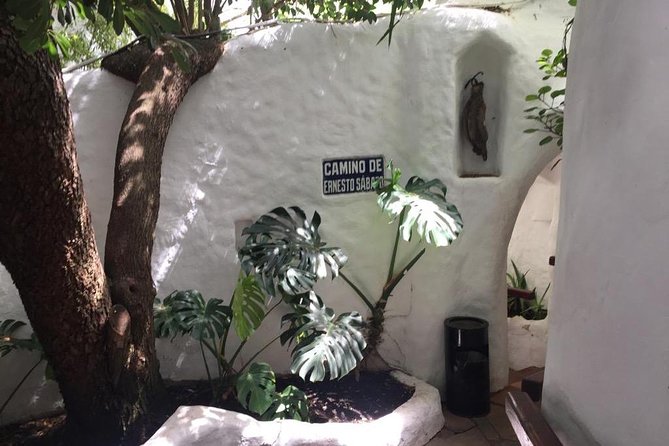 Punta Del Este Full-Day From Montevideo - Inclusions and Exclusions