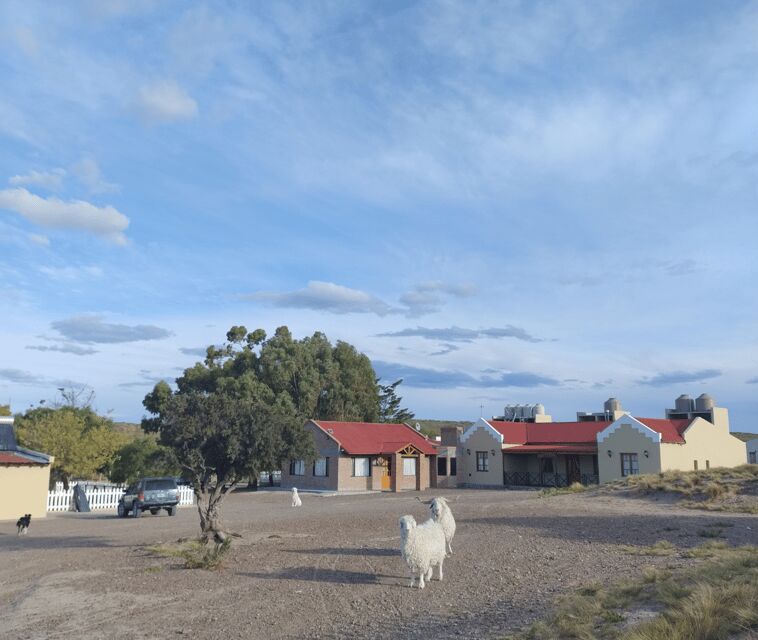 Punta Loma + Ranch Shore Excursion for cruise passengers - The Sum Up: A Well-Rounded Snapshot of Patagonia